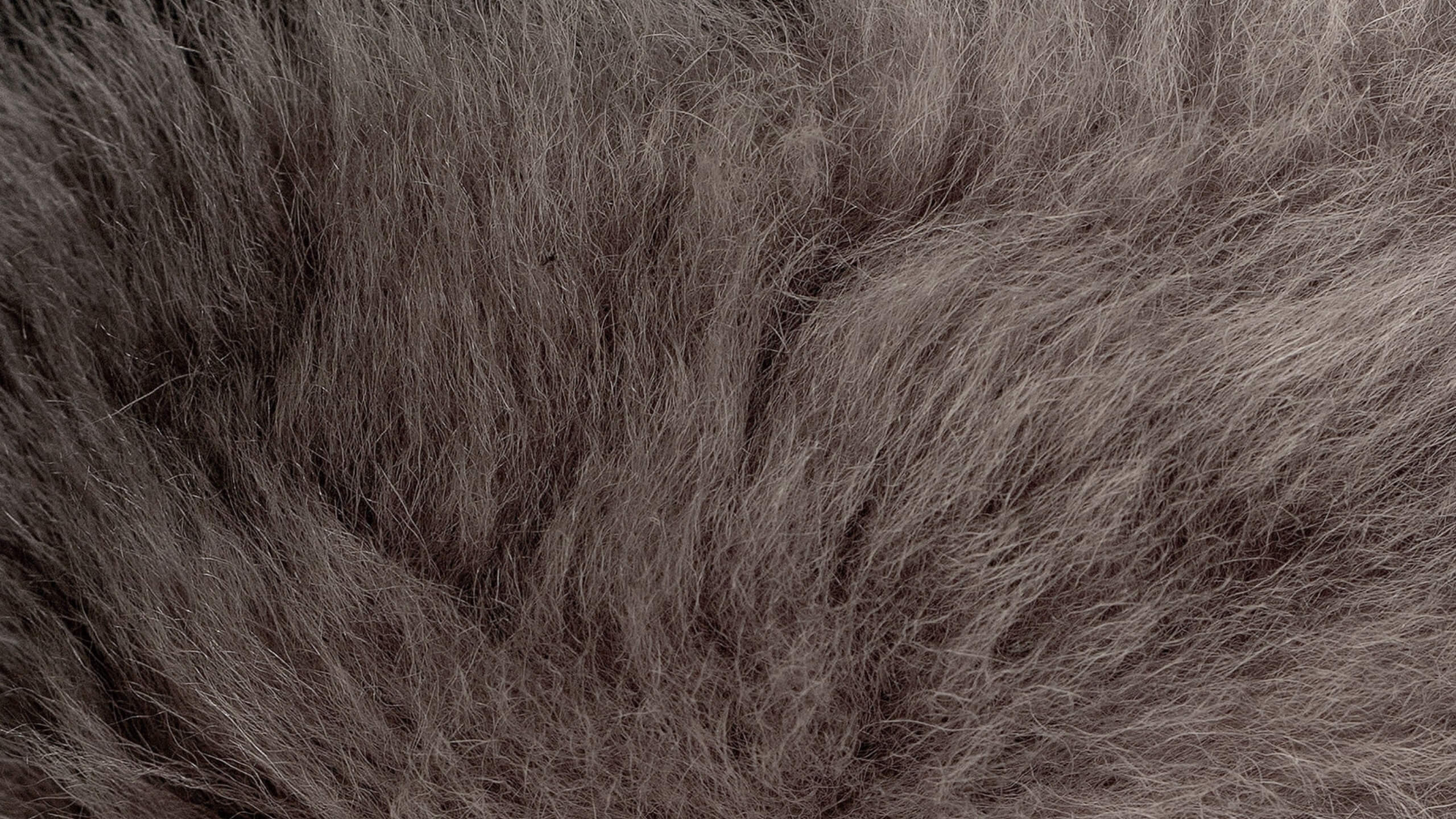 How to Identify Real Fur vs Faux Fur: A Complete Buying Guide